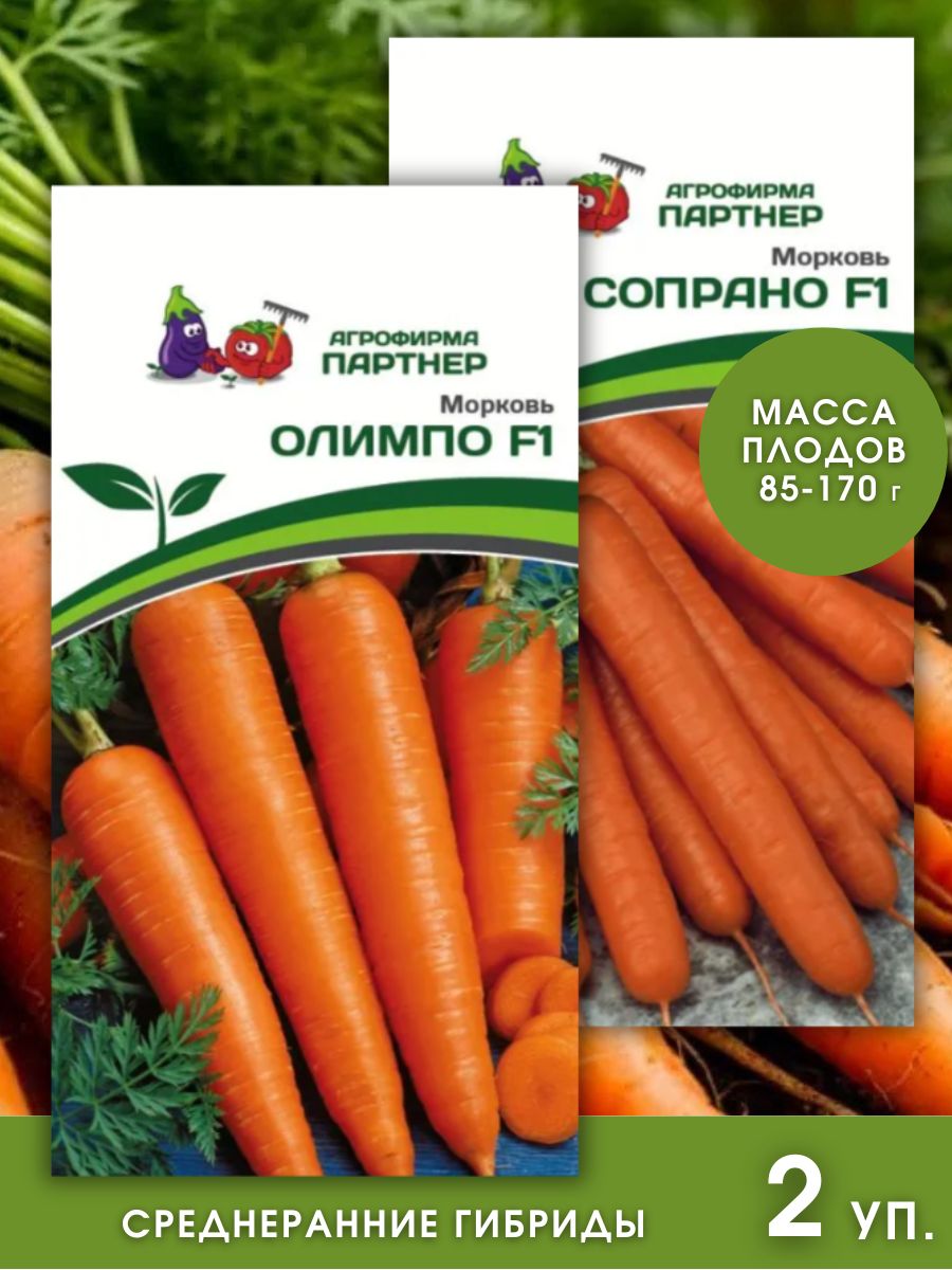 Семена моркови Сильвано и Сопрано