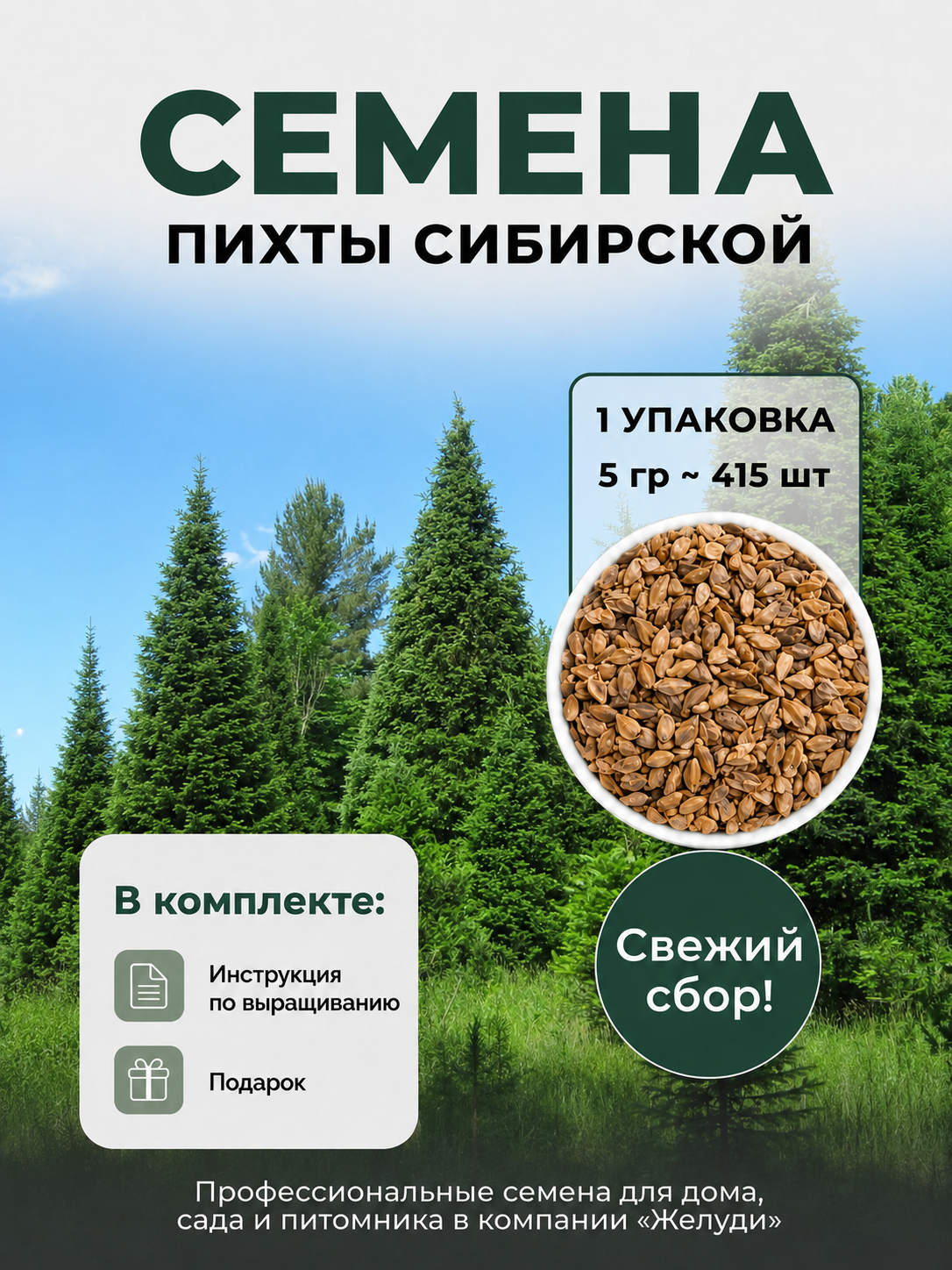 Семена Пихты сибирской, 5 грамм (примерно 415 шт)