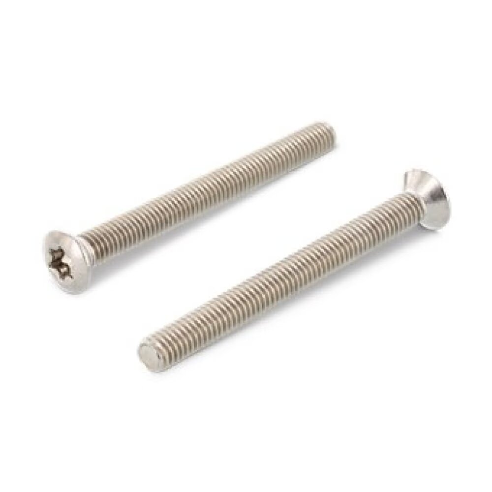 DIN 966 / ISO 14584 Винт с полупотайной головкой M4 x 10 TX20 А2-Нерж - 50 шт.