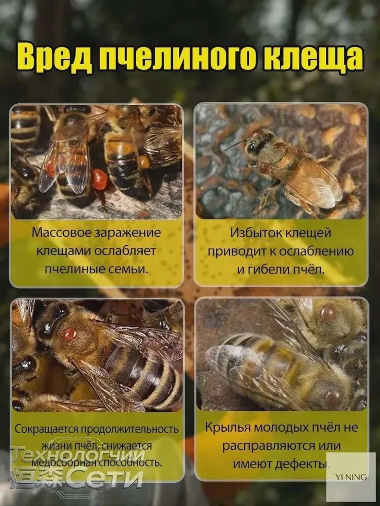 Для обработки пчёл от клещей варроа