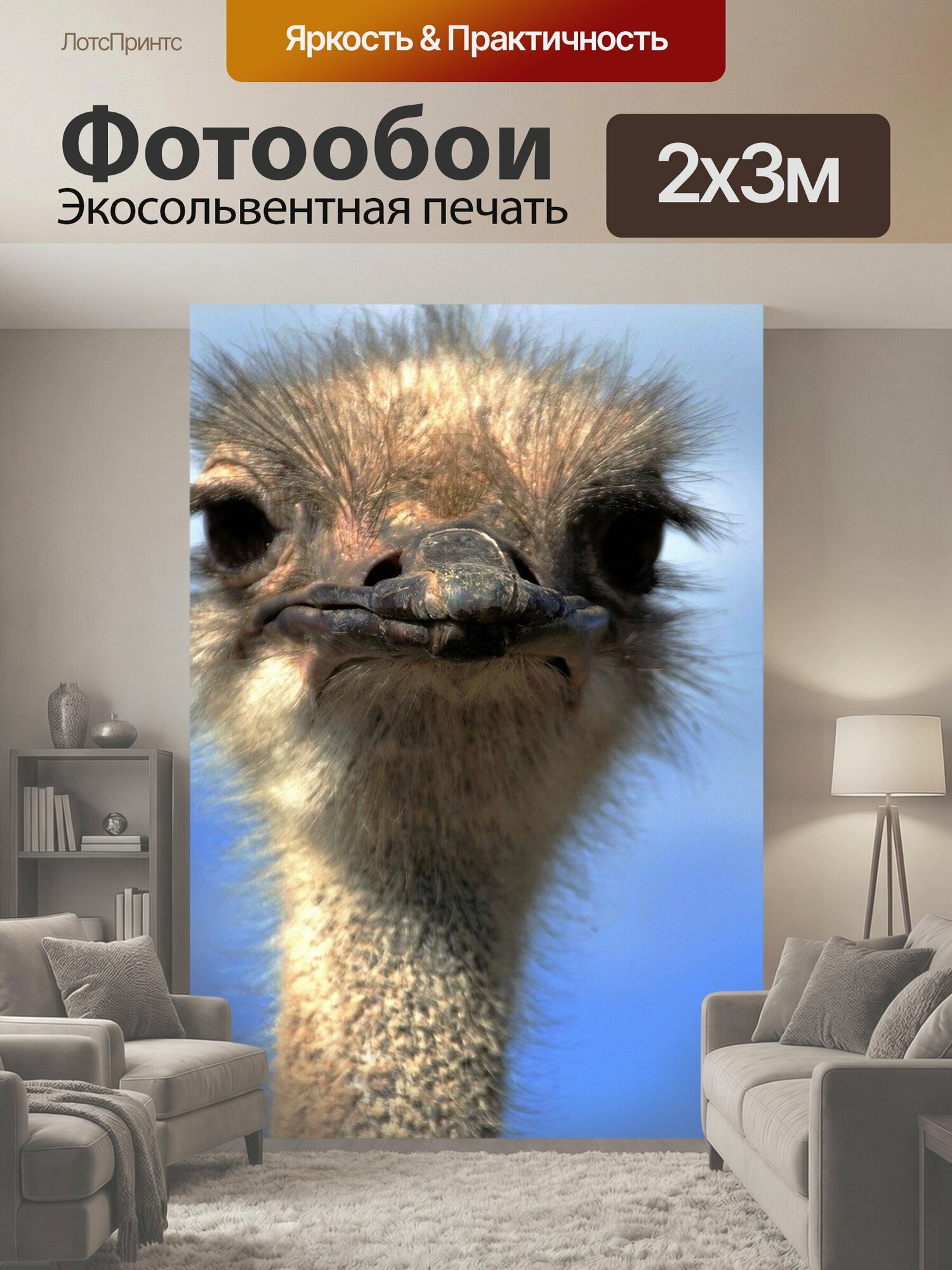 Фотообои "Страус, страусиная голова, клюв" 200x300 см. экосольвентная печать