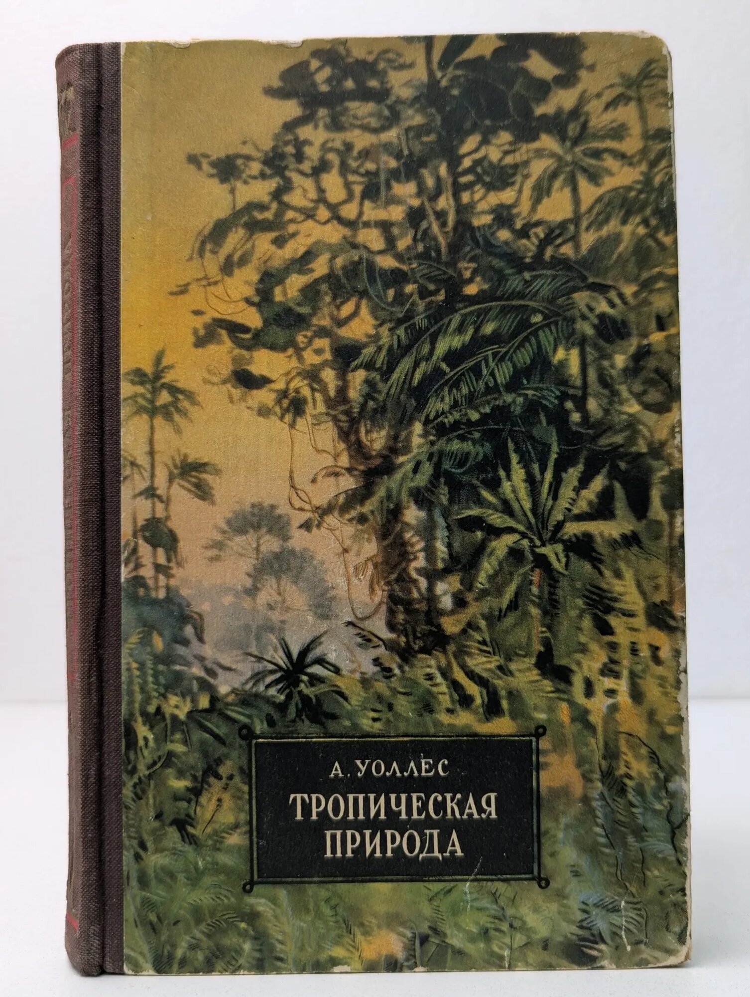 Тропическая природа Уоллес Альфред Рессель 1955
