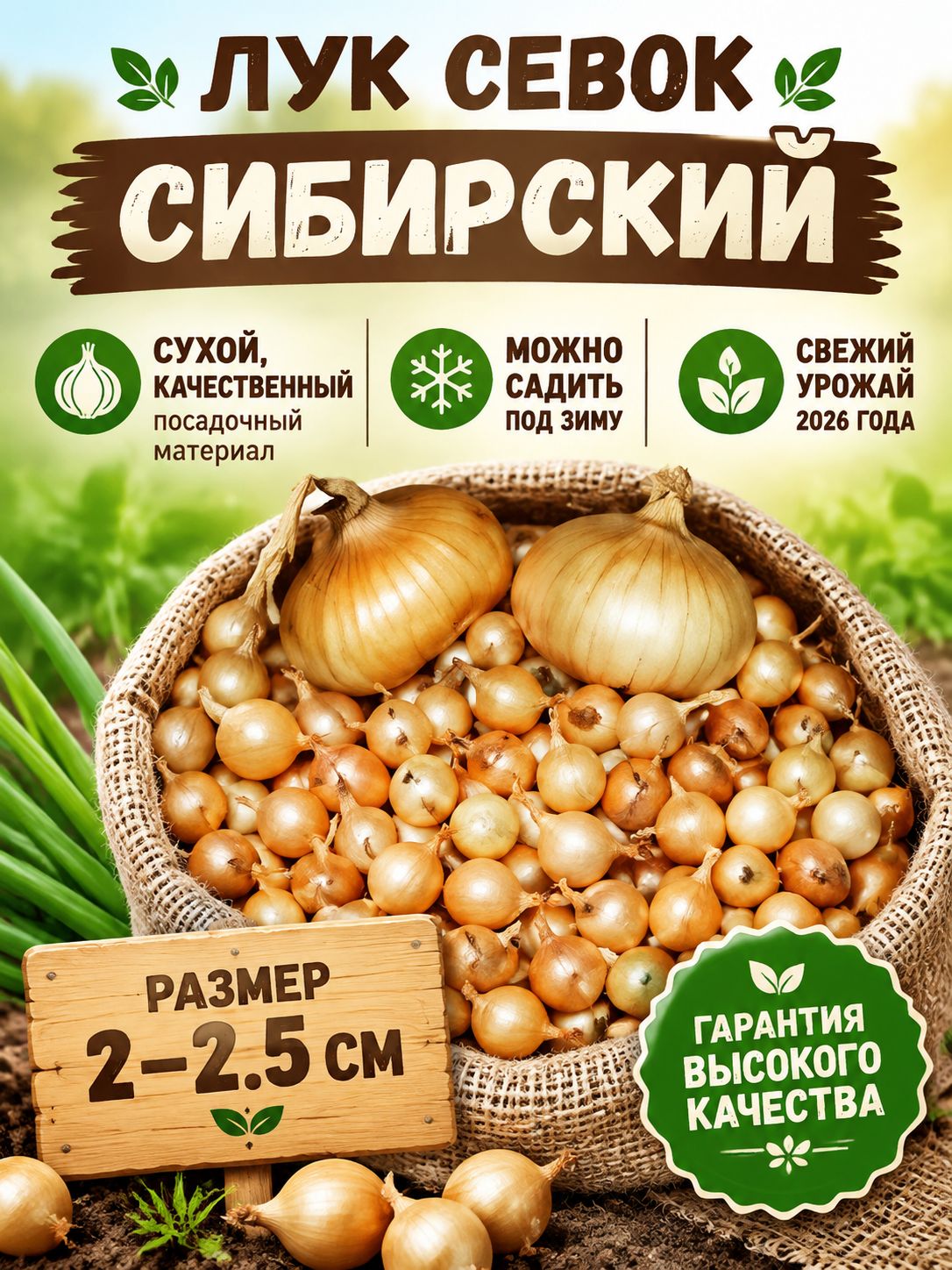 Лук севок Сибирский/Свежий урожай 2026 года, 1 кг