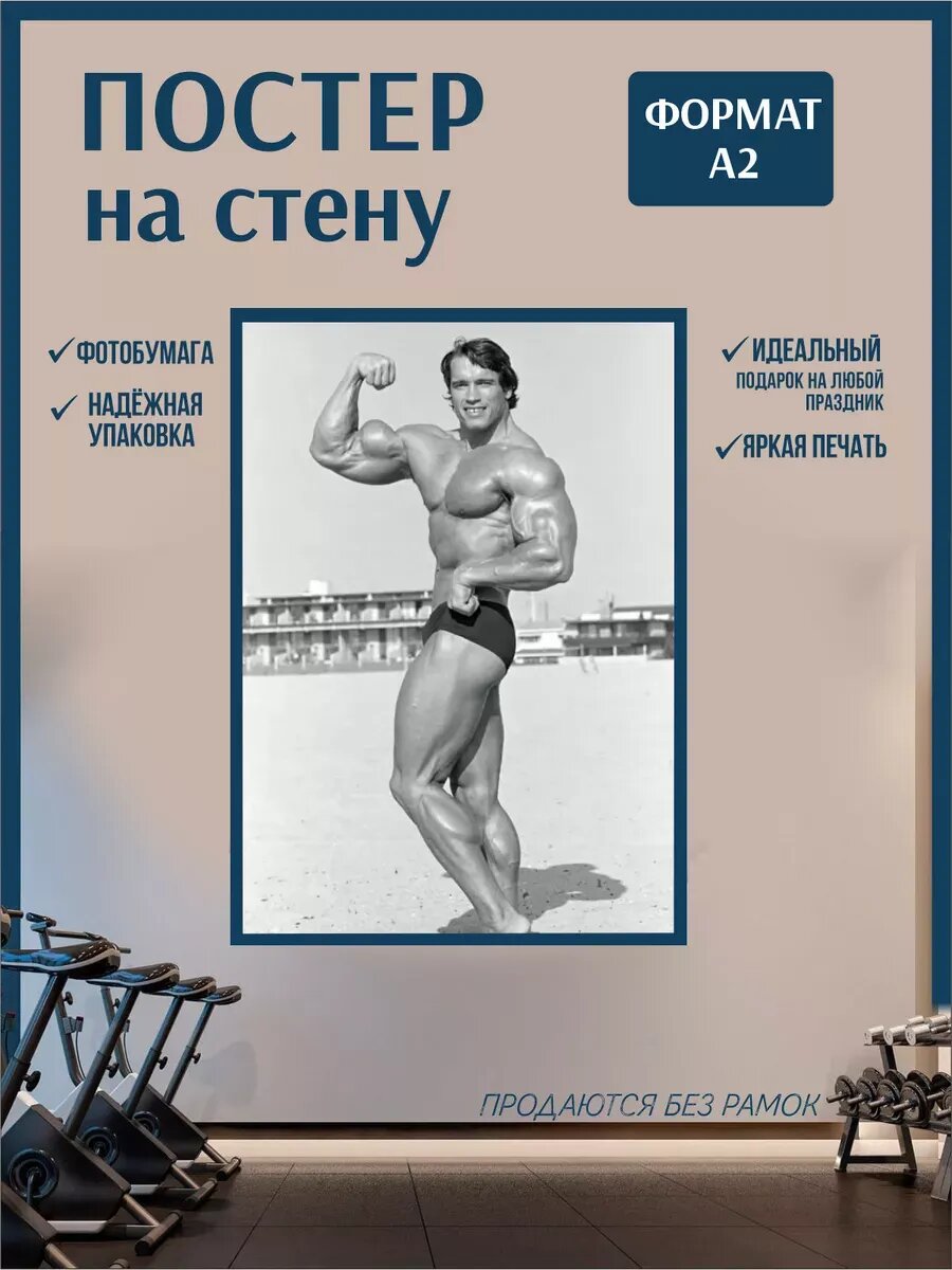 Арнольд Шварценеггер постеры Arnold Schwarzenegger А2