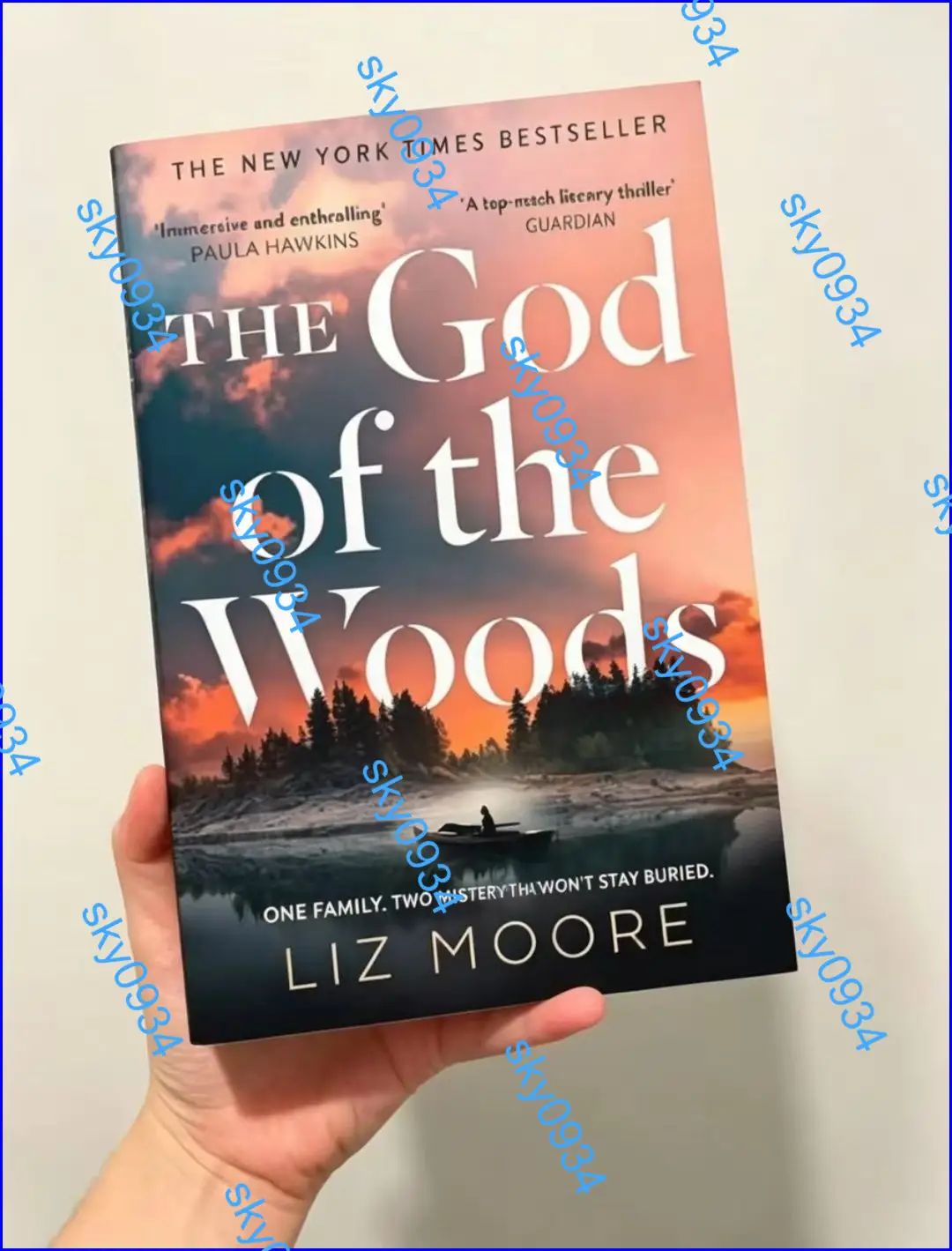 The God of the Woods by Liz Moore Literary Mystery Thriller About Missing Children