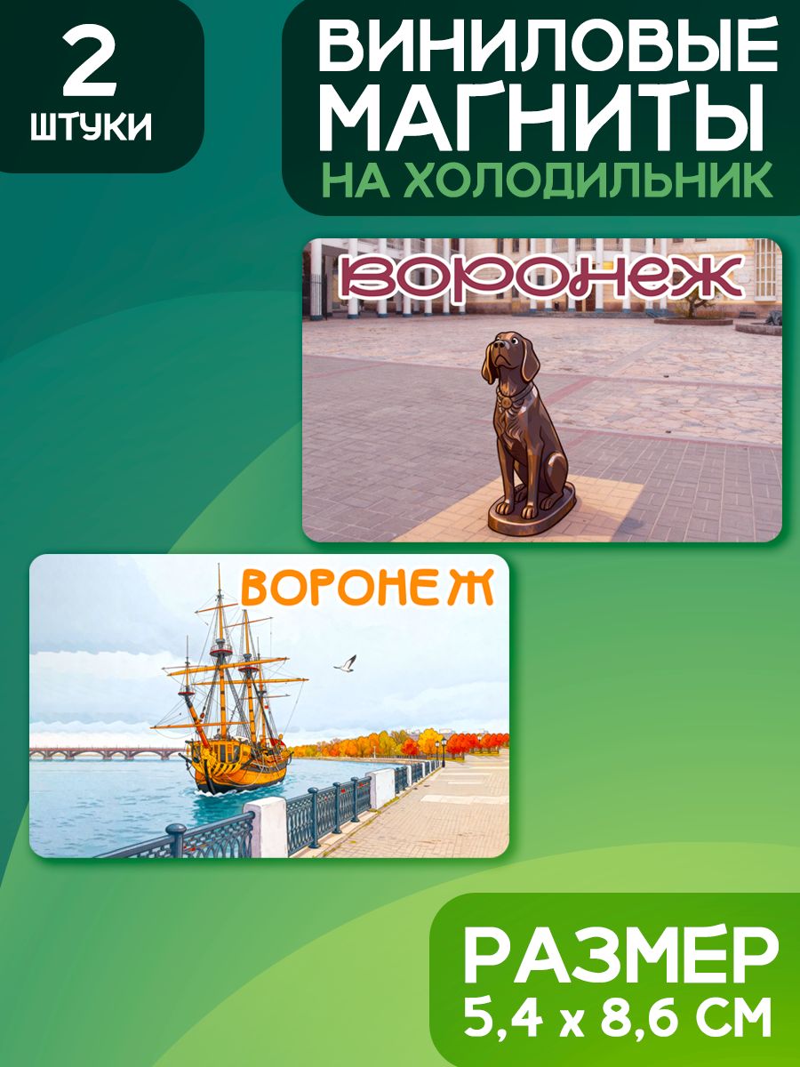Магниты Воронеж. 2 шт размером 5,4*8,6 см.