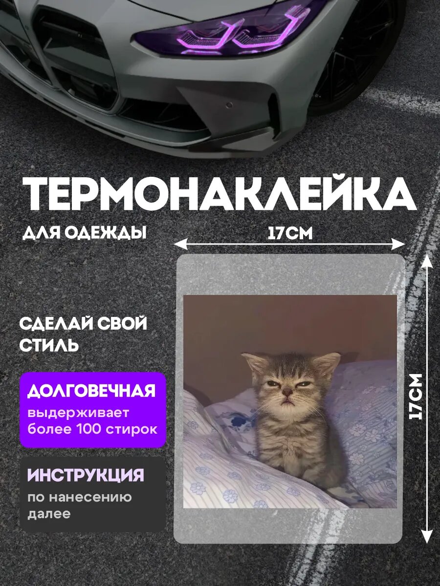 Термонаклейка на одежду Кот прикол