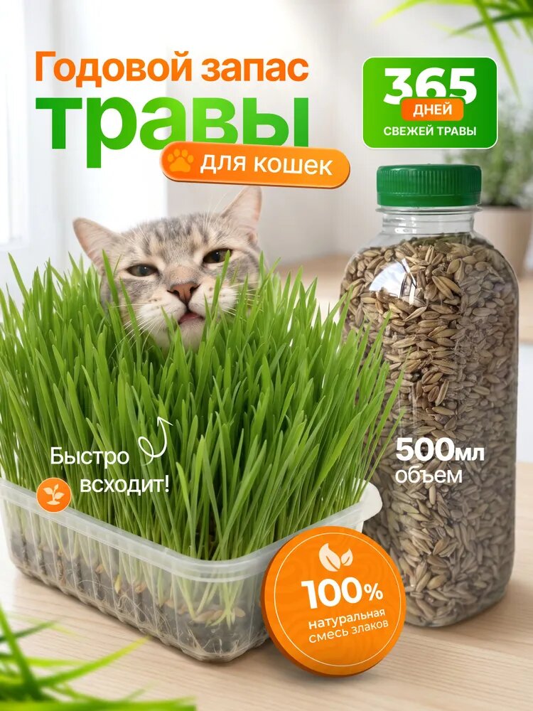 Трава для кошек и других питомцев в бутыле. 360 дней свежей травы. Лакомство для кошек (овёс, пшеница, ячмень). Набор для выращивания