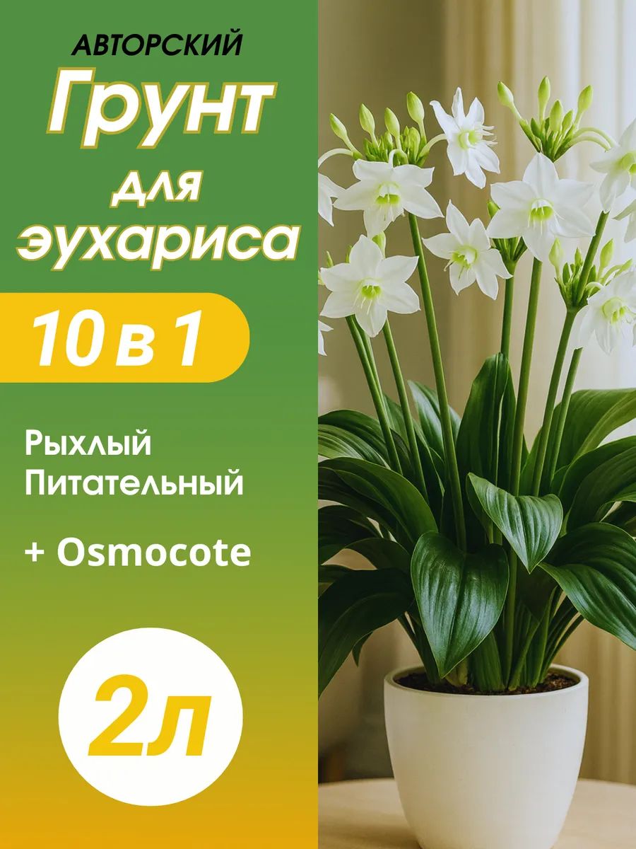 Грунт для Эухариса 2л готовый