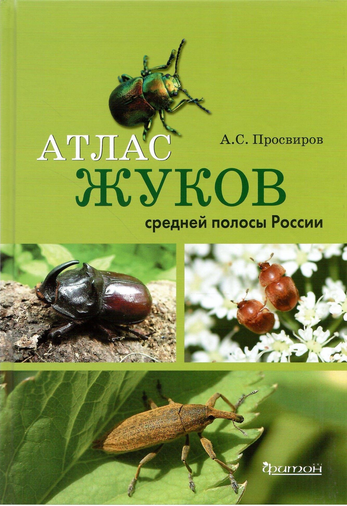 Атлас жуков средней полосы России