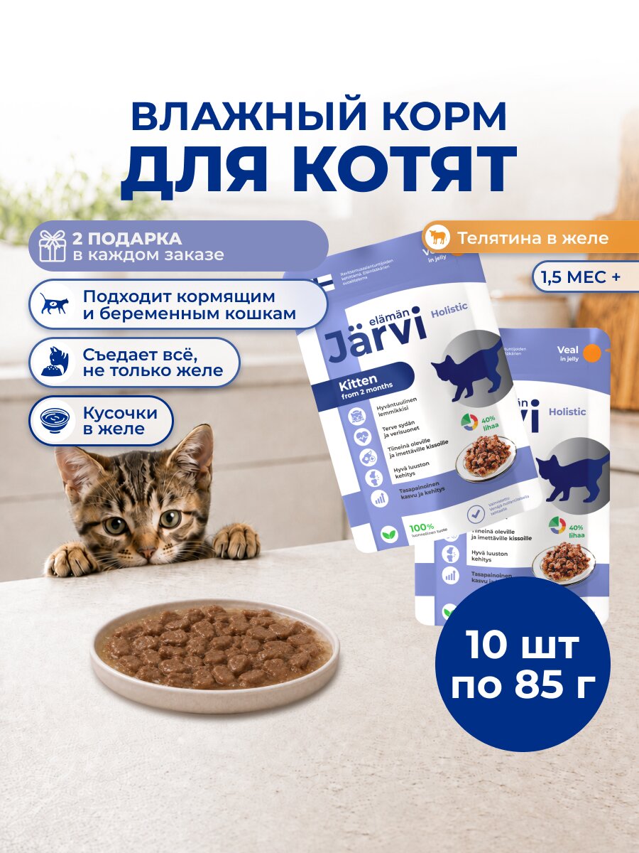 Влажный корм Jarvi для котят и беременных кошек с телятиной (кусочки в желе), 85 г х 10 шт.