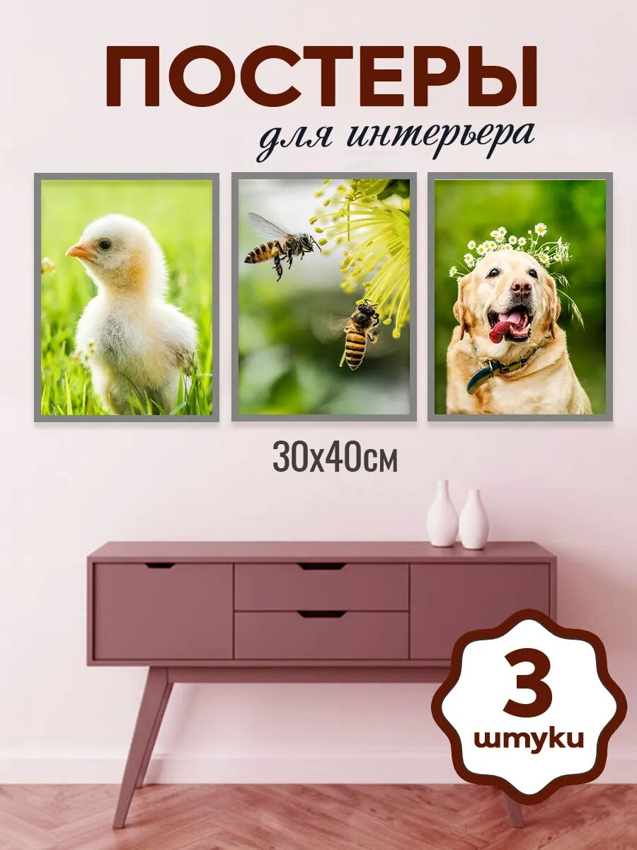 Интерьерные постеры А3 на стену, летние