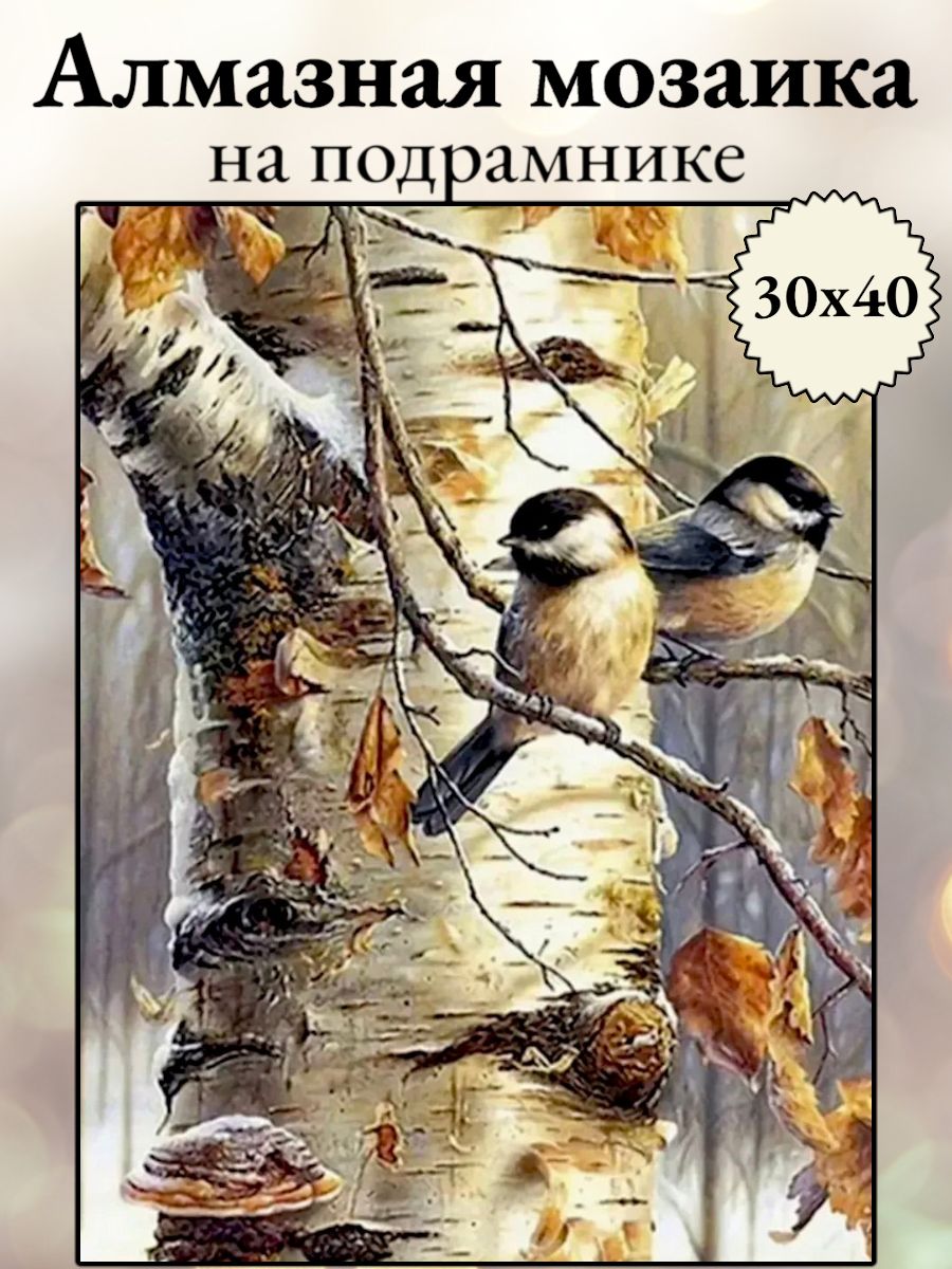 Алмазная мозаика, алмазная живопись на подрамнике 30х40 Картина стразами "Синицы на ветках"