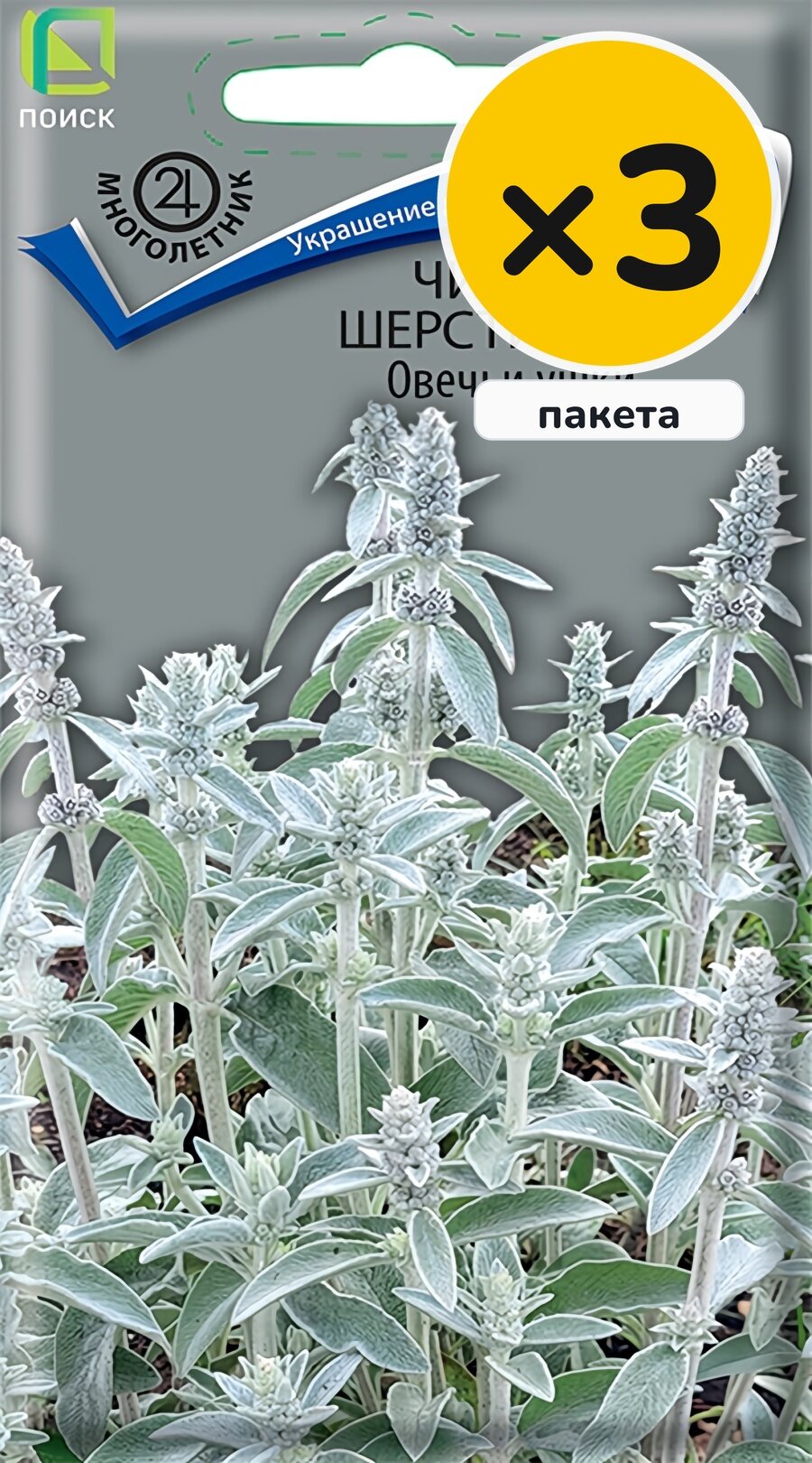 Семена чистца (Стахис) шерстистый Овечьи ушки, 0,1 г, 3 пакета, Поиск, многолетник, высота до 45 см