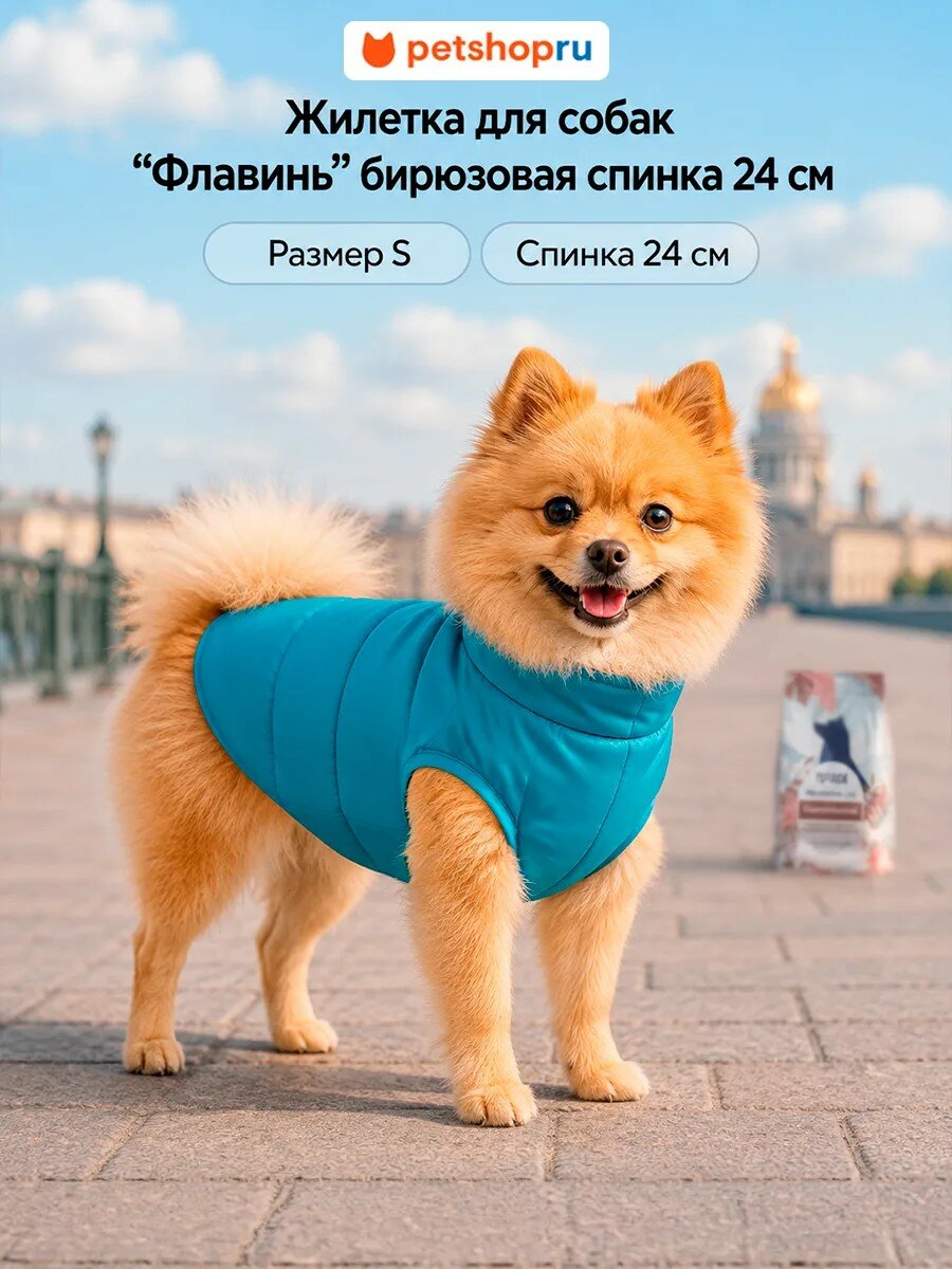 Lelap одежда Жилетка "Флавинь" для собак, бирюзовый, S, спинка 24 см