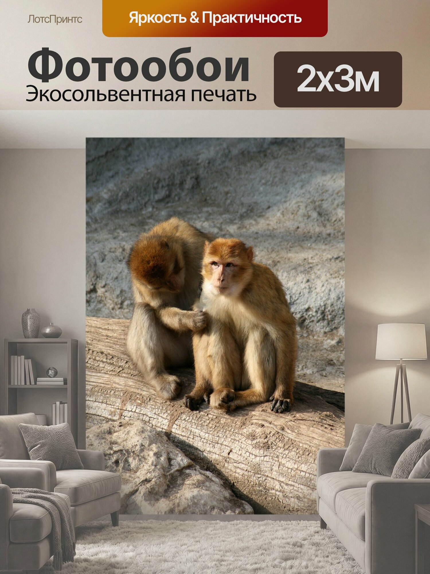 Фотообои "Обезьяна, обезьяны, номинал" 200x300 см. экосольвентная печать