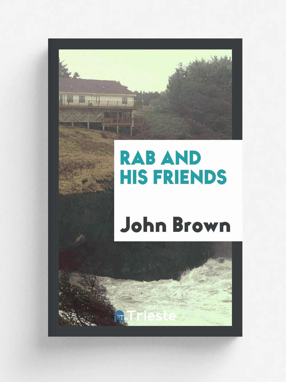 Rab and His Friends