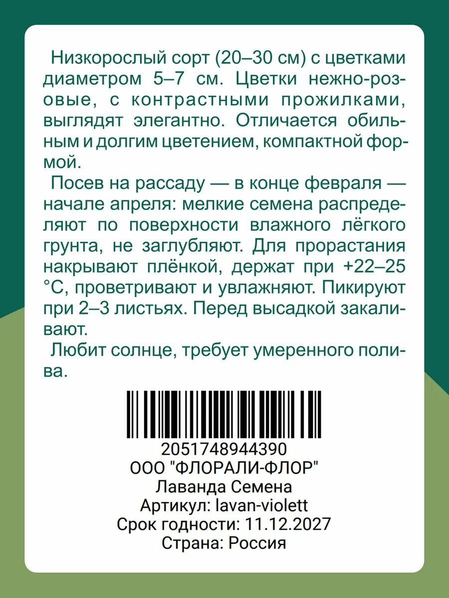 Лаванда Семена — фото 1