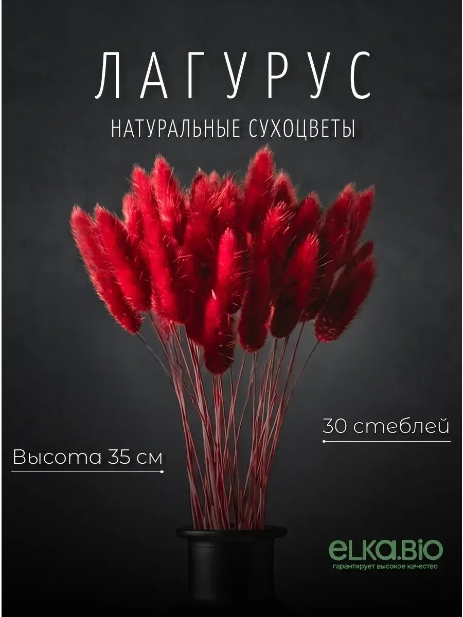 Лагурус красный 30 штук, натуральные сухоцветы для декора Elka.bio до 35 см