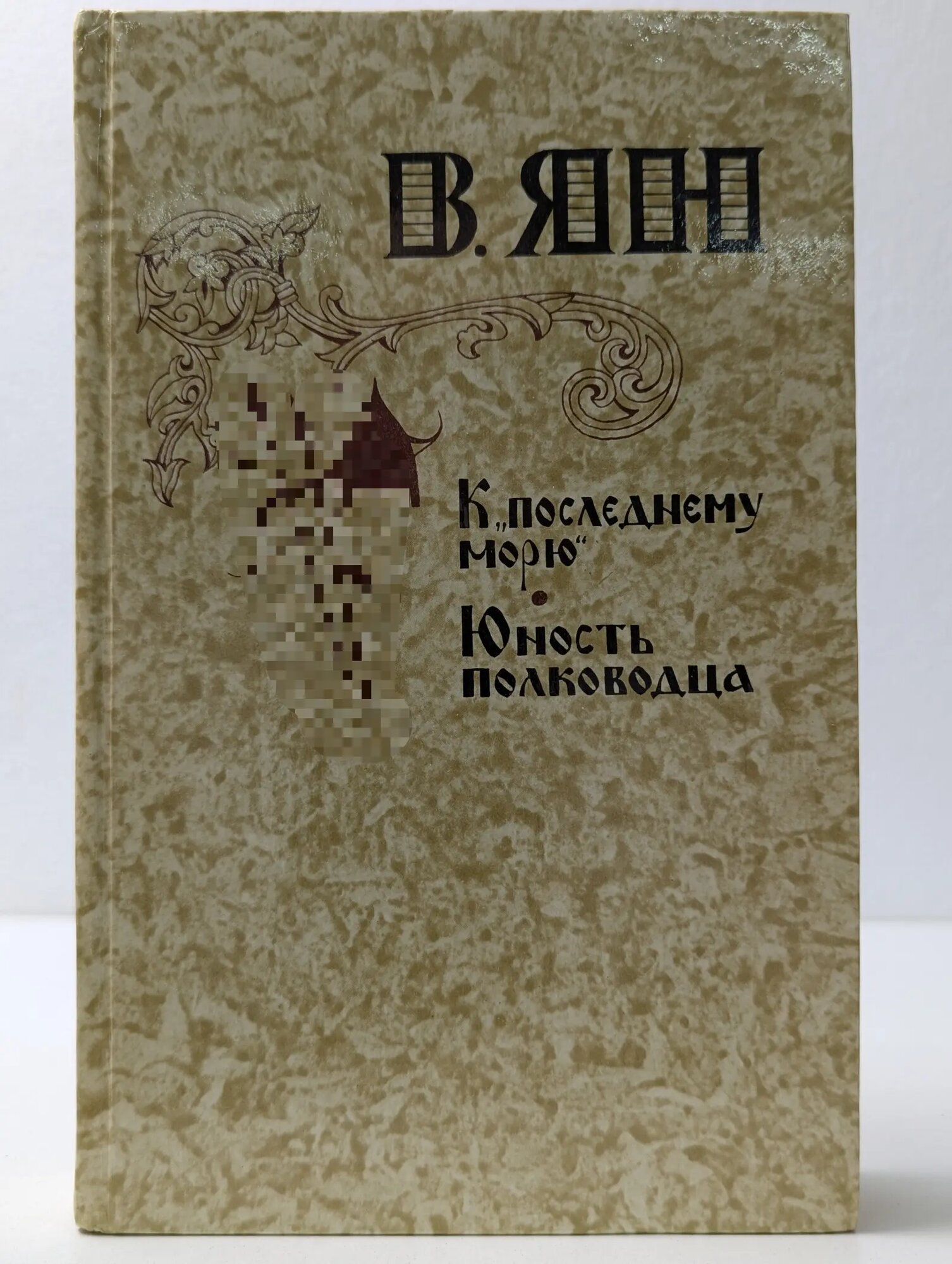 К „последнему морю“. Юность полководца Ян Василий Григорьевич 1981