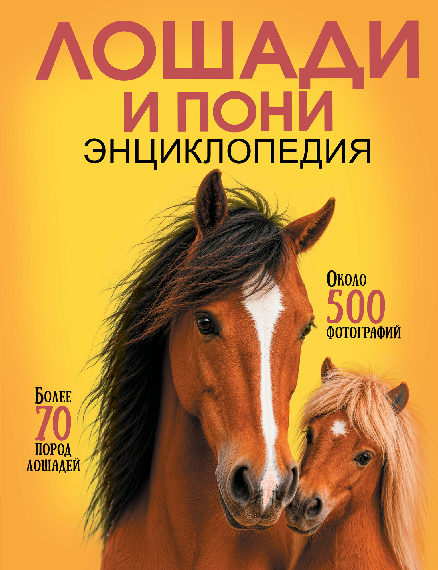Книга "Лошади и пони", автор Спектор А. А, издательство Аванта