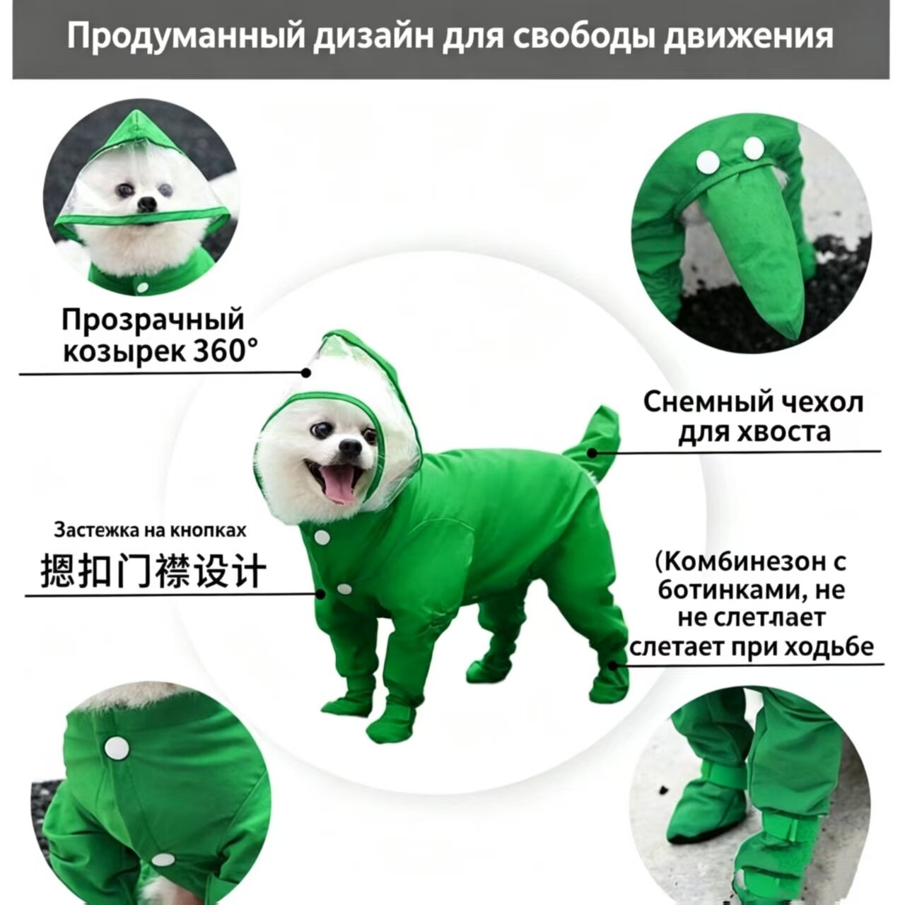 Полный комплект водонепроницаемых дождевиков для кошек и собак, зелёного цвета, подходит для животных весом 2,5–3,5 кг.