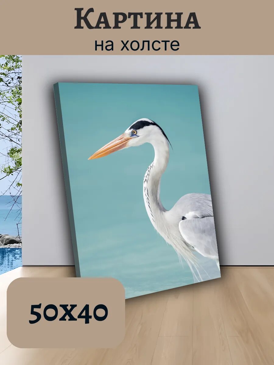 Картина Постер Мальдивы Maldives 40x50 серая цапля