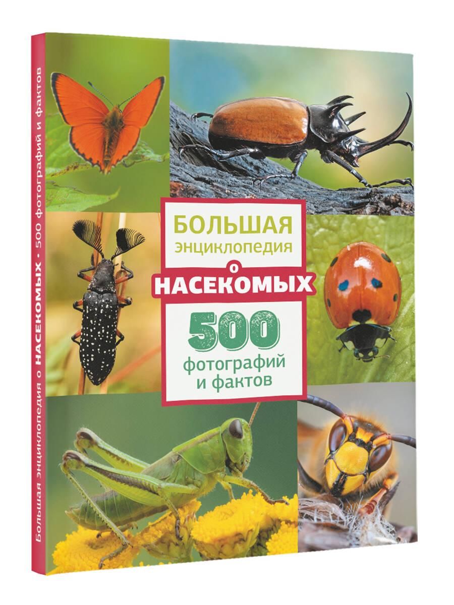 Большая энциклопедия о насекомых. 500 фотографий и фактов