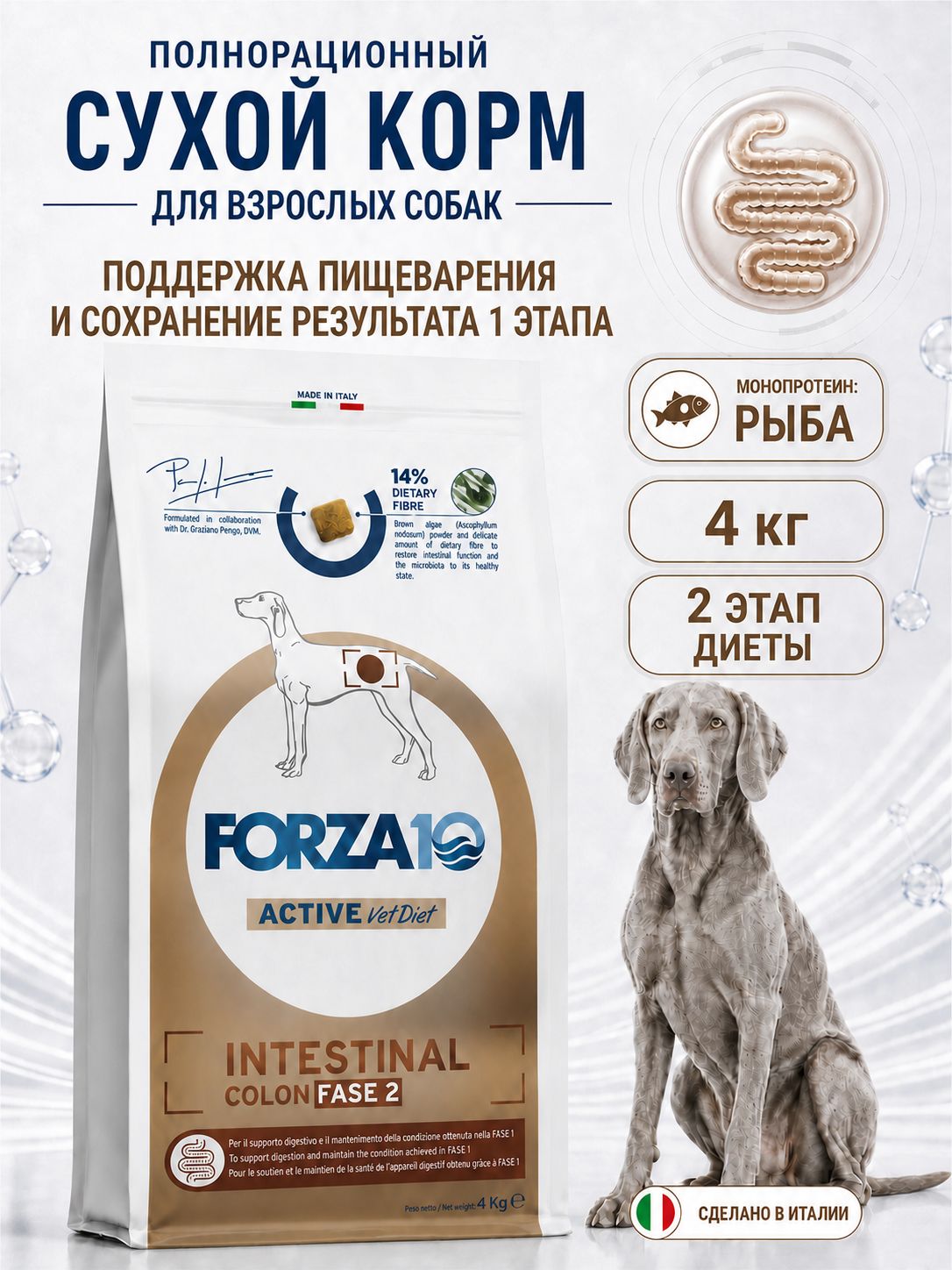 Сухой корм FORZA10 INTESTINAL COLON Fase-2 для взрослых собак всех пород для лечения колитов, экзокринной недостаточности поджелудочной железы, 4 кг