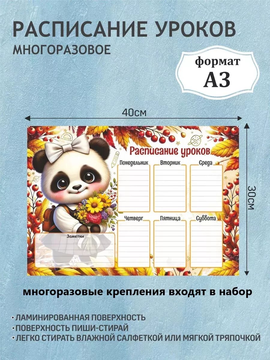 Расписание уроков настенное многоразовое