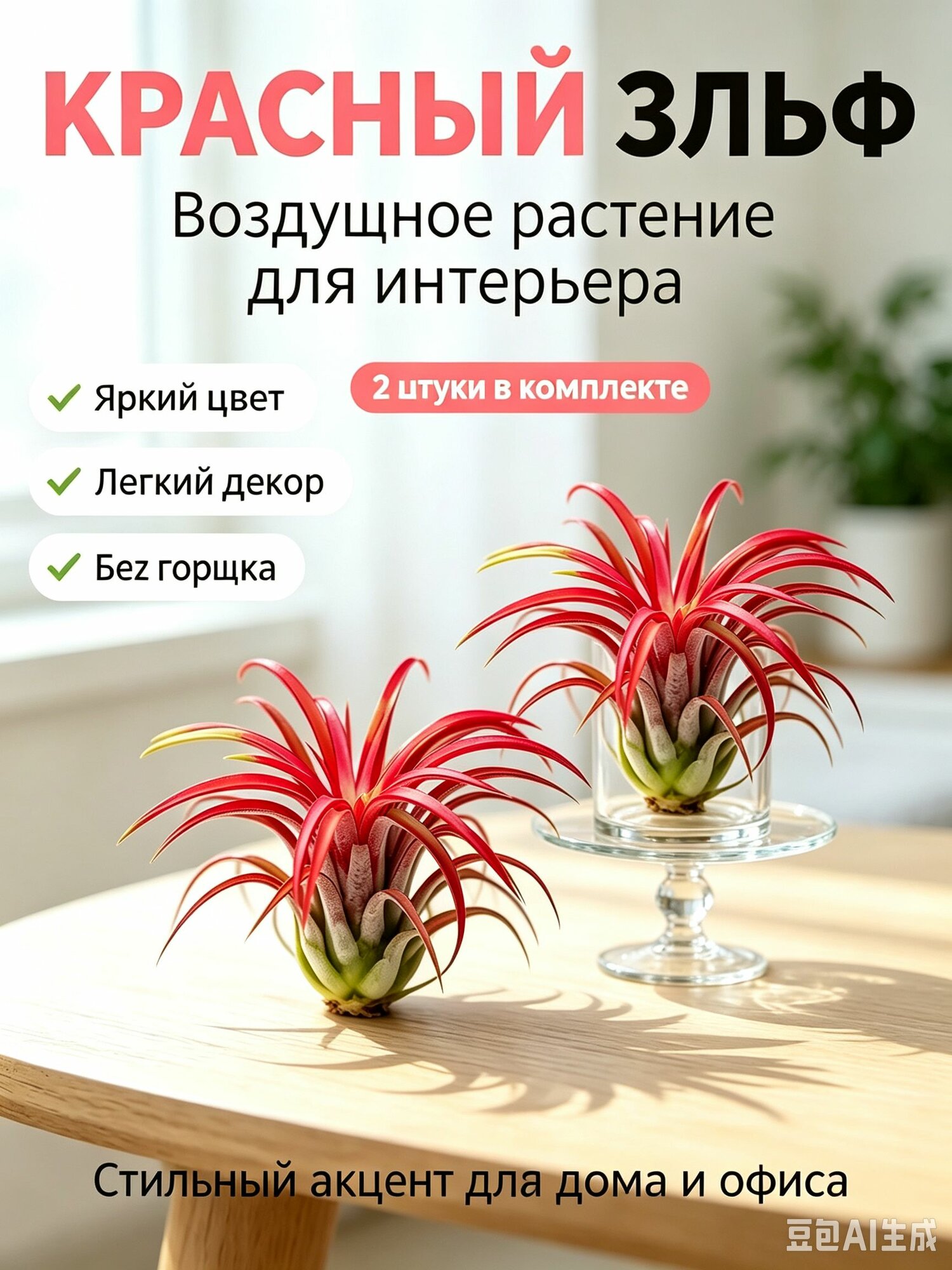 Воздушные тилландсии для дома: неприхотливые растения, очищающие воздух.