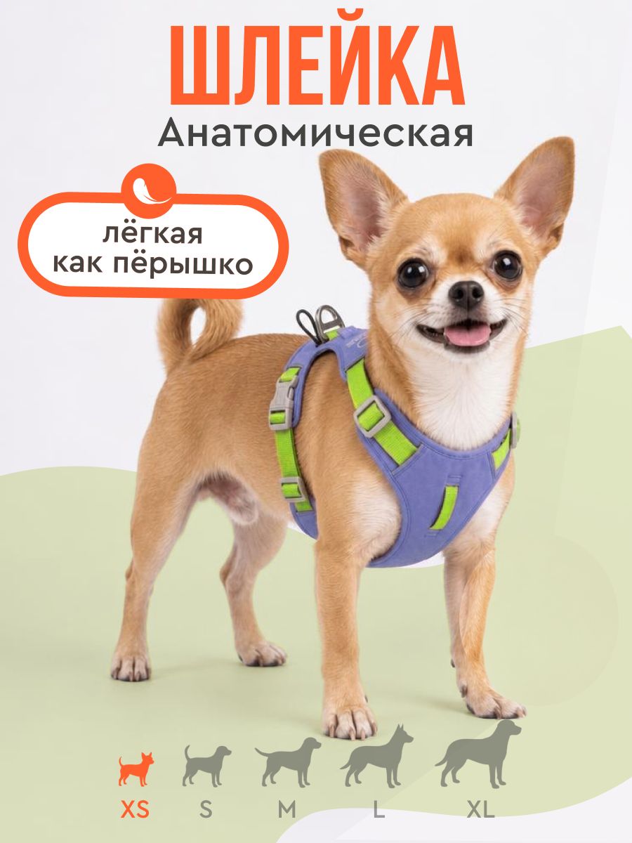 Легкая шлейка для собак мелких пород и кошек MiloPets, анатомическая, XS, 2-4 кг