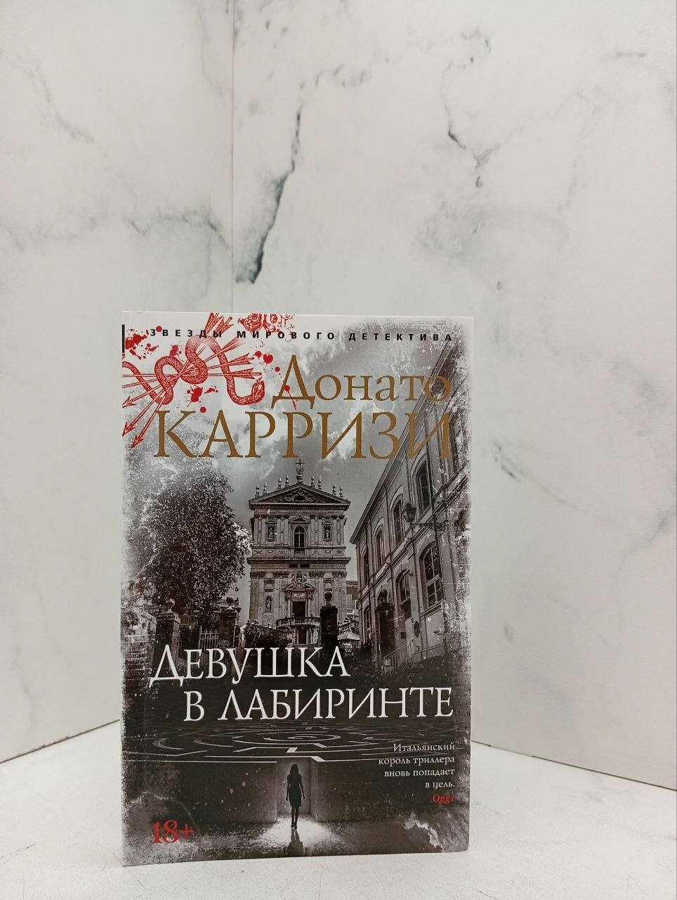 Девушка в лабиринте — фото 1
