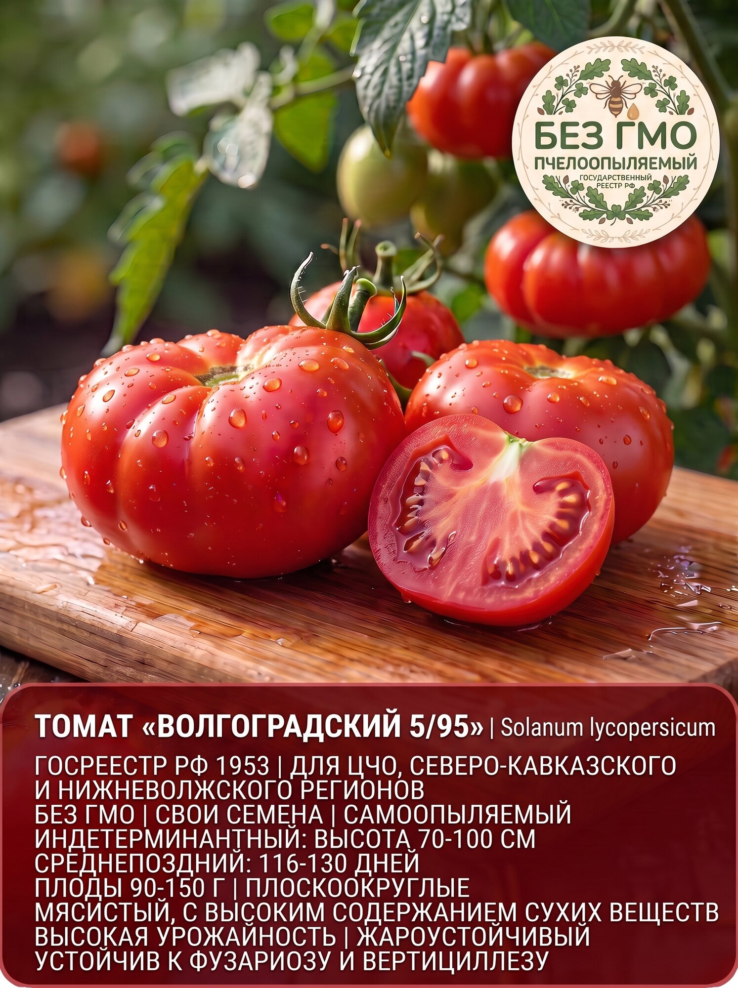 Томат волгоградский 5/95 Легендарный сорт Госреестра с 1953 года! Среднепоздний, индетерминантный 70-100 см, мясистые, для свежих салатов и переработки, засухоустойчивый