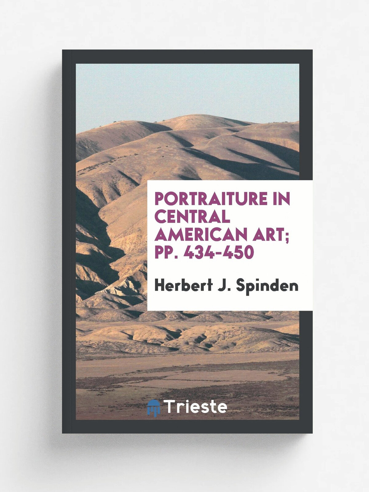 Portraiture in Central American Art; pp. 434-450