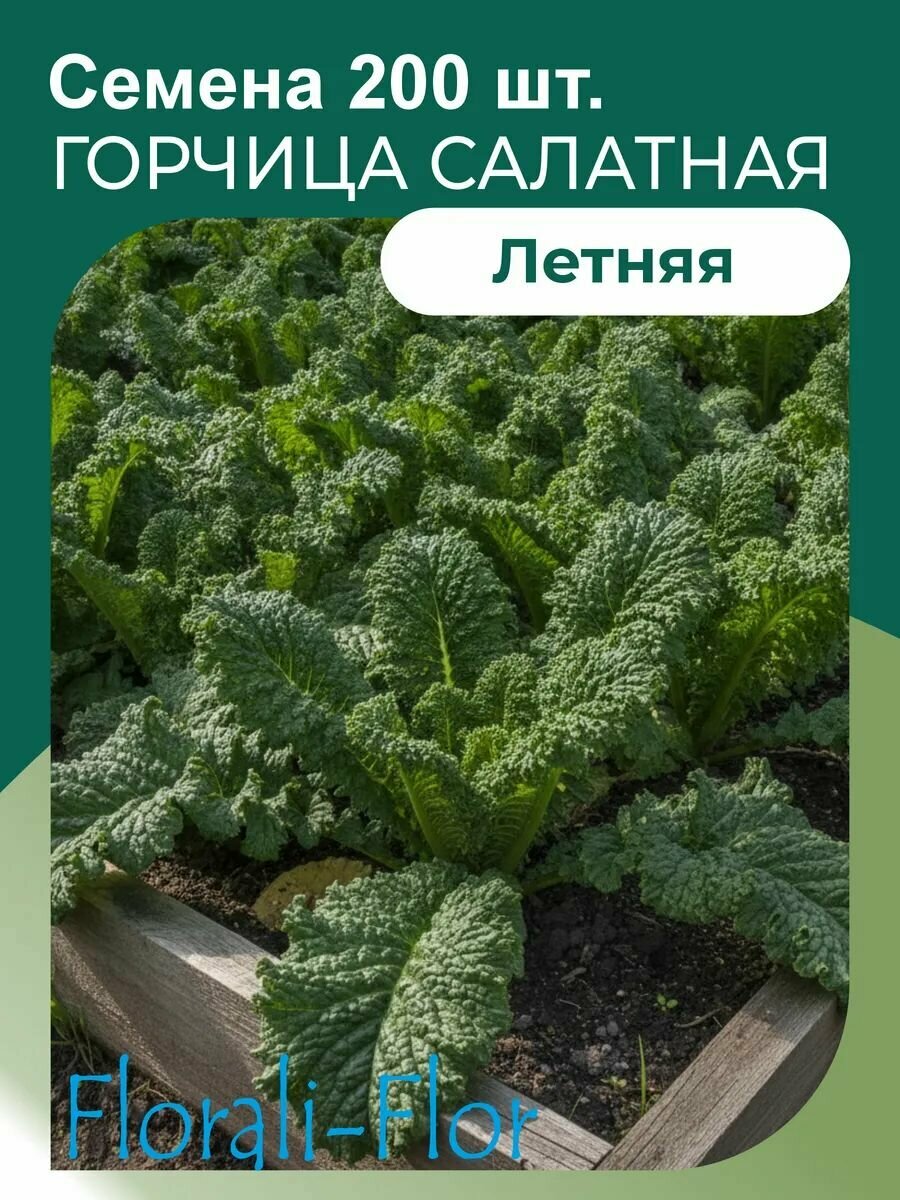 Горчица Салатная Семена