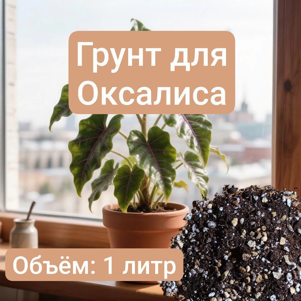 Грунт для цветов "Оксалис", универсальный, для стимуляции роста, для декоративности, 1 л