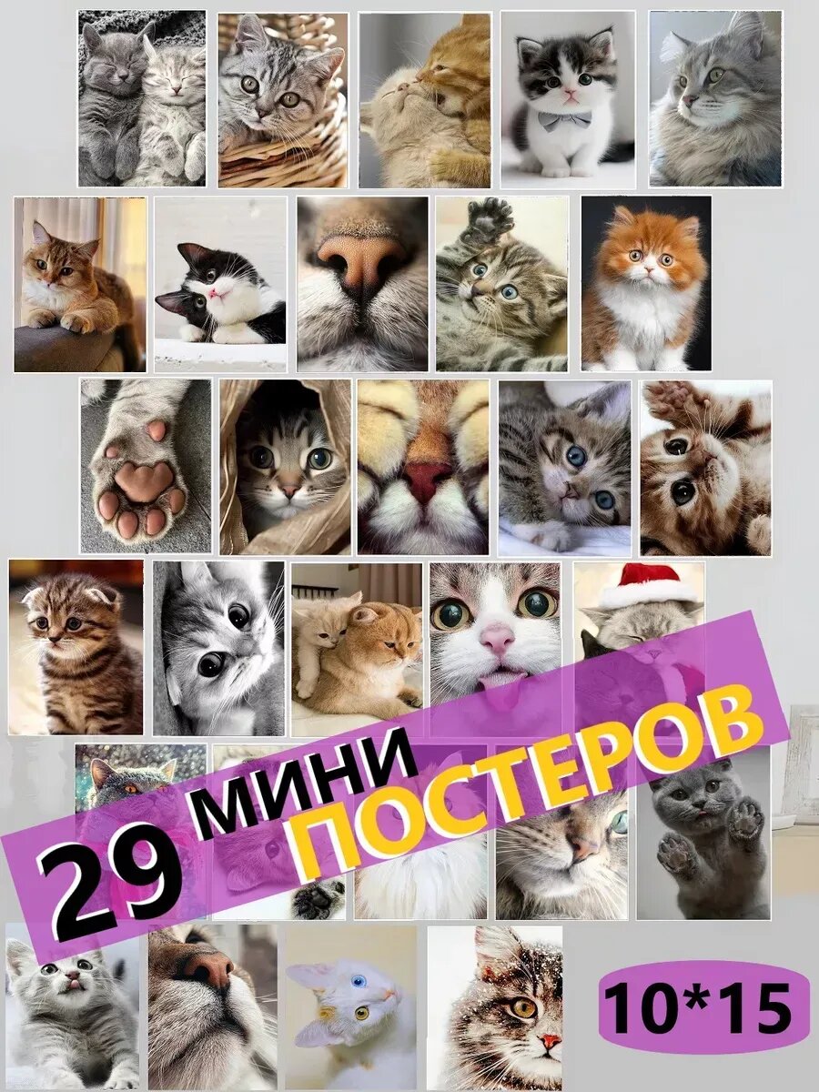 Мини постеры котики коты котята для интерьера