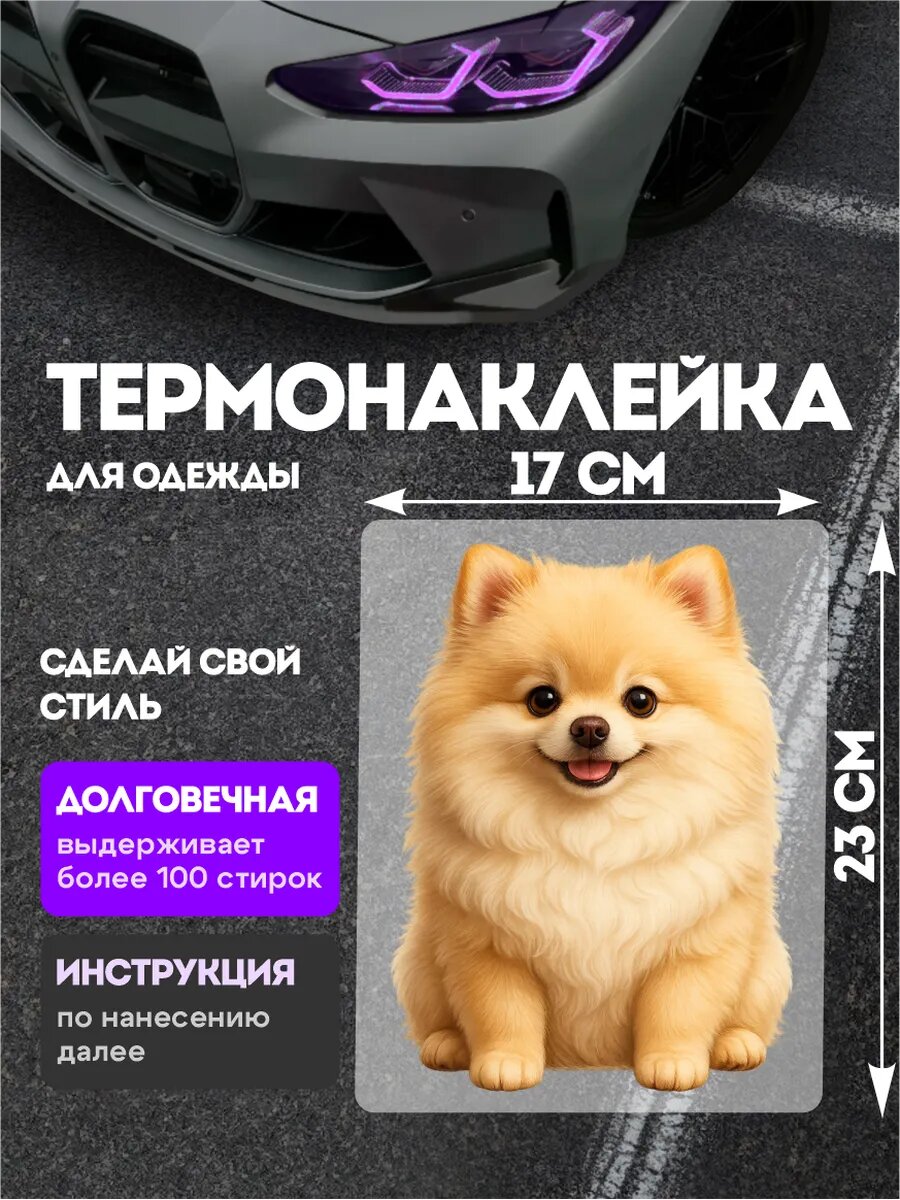 Термонаклейка на одежду Шпиц собачки