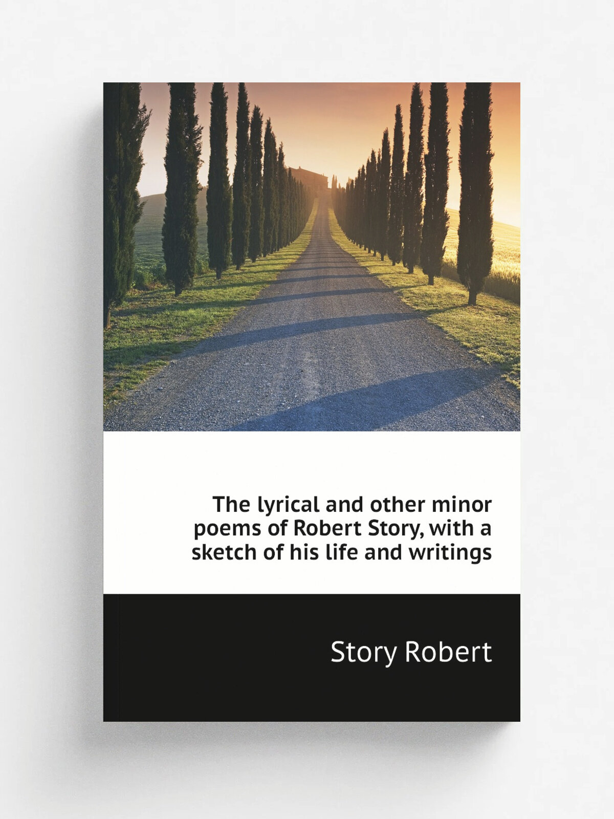 The lyrical and other minor poems of Robert Story, with a sketch of his life and writings | Story Robert | Репринт