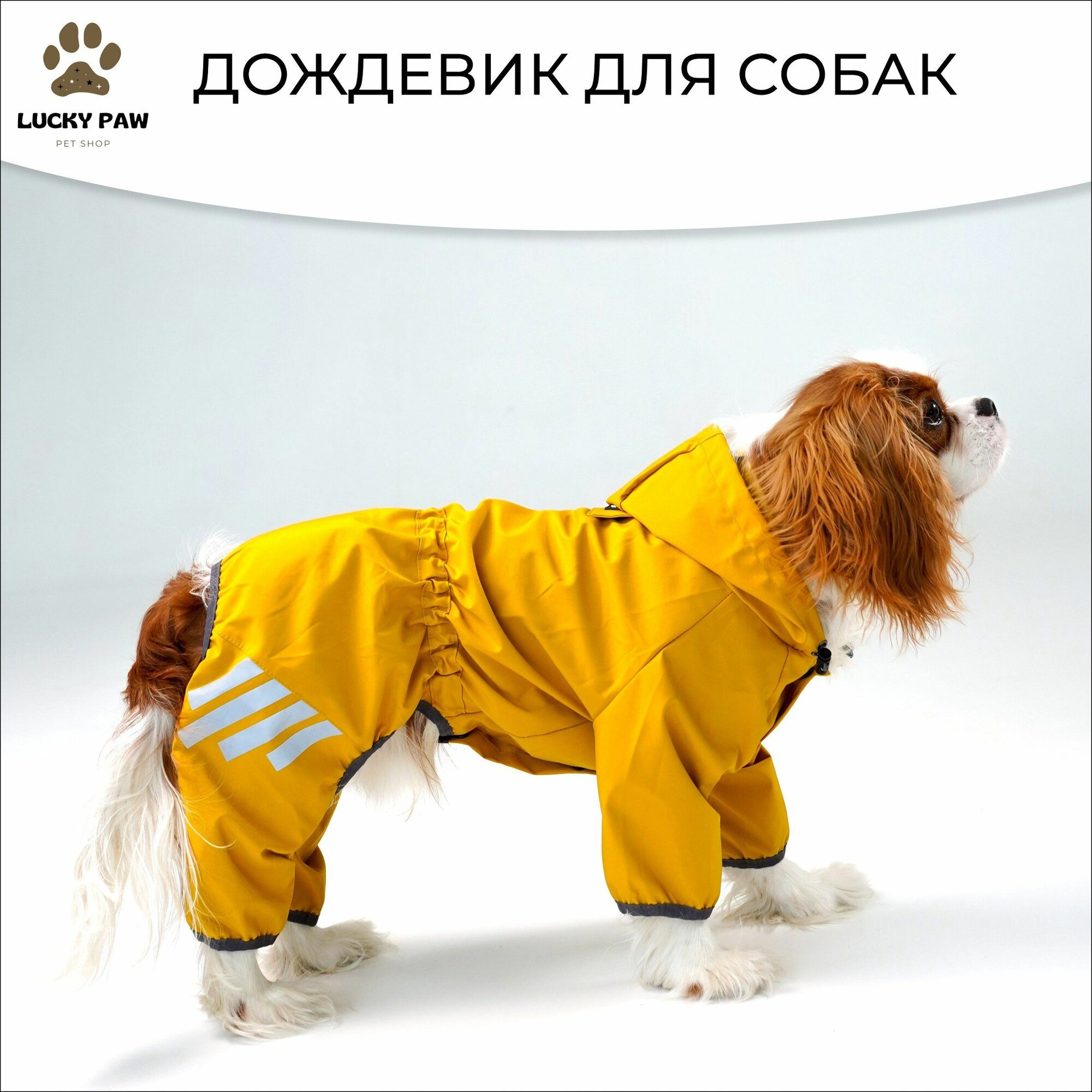 Одежда для собак, дождевик комбинезон для малых и средних пород