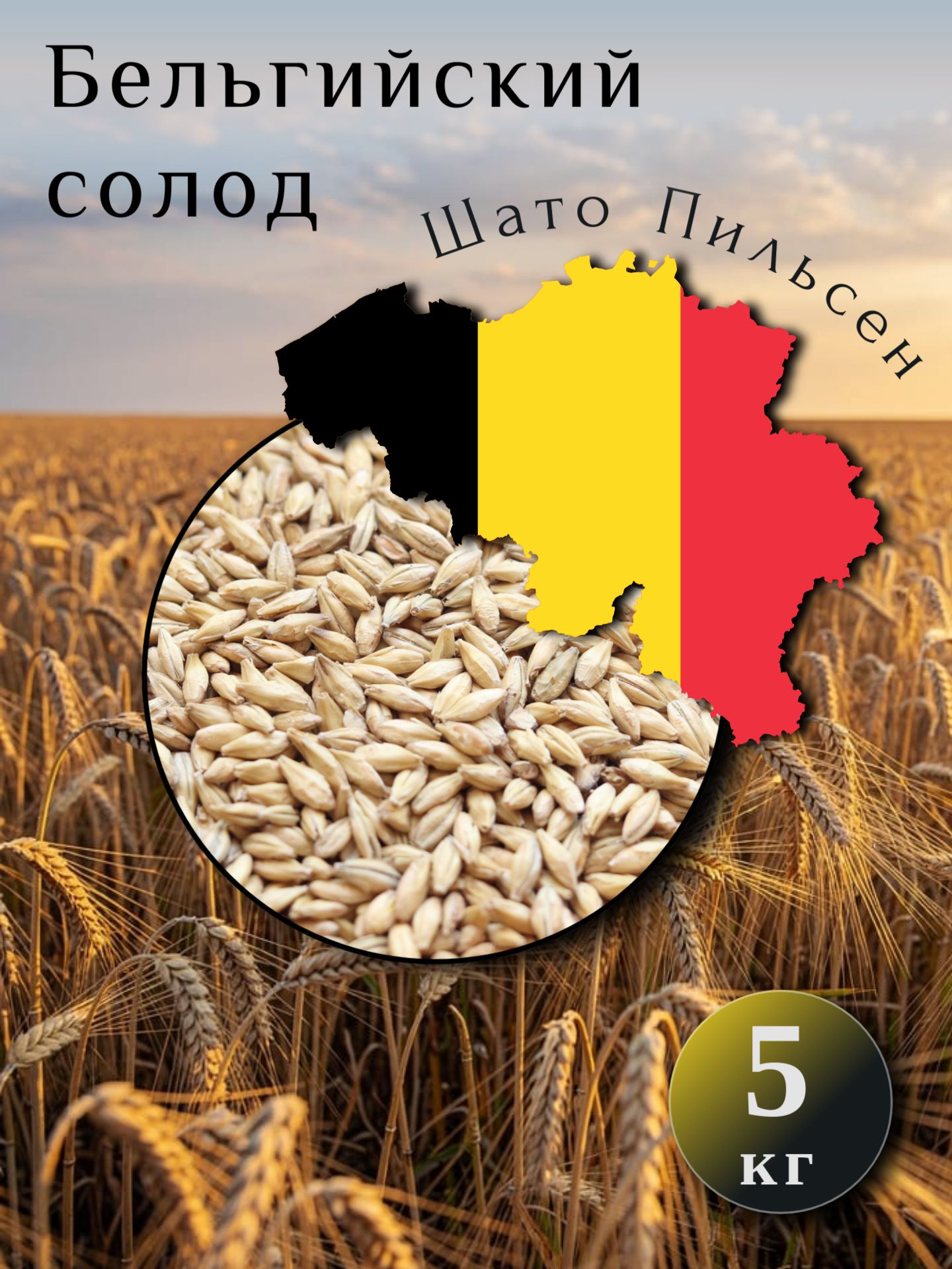 Солод Шато Пильсен / Pilsen 2RS (Castle Malting), 5 кг