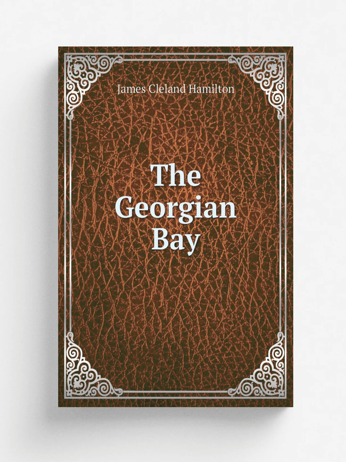The Georgian Bay | James Cleland Hamilton | 1893 | Toronto : Carswell | Репринт