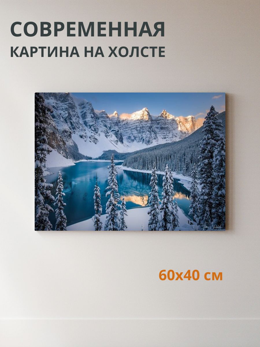 Картина на холсте Горы и лес у озера 60x40 см