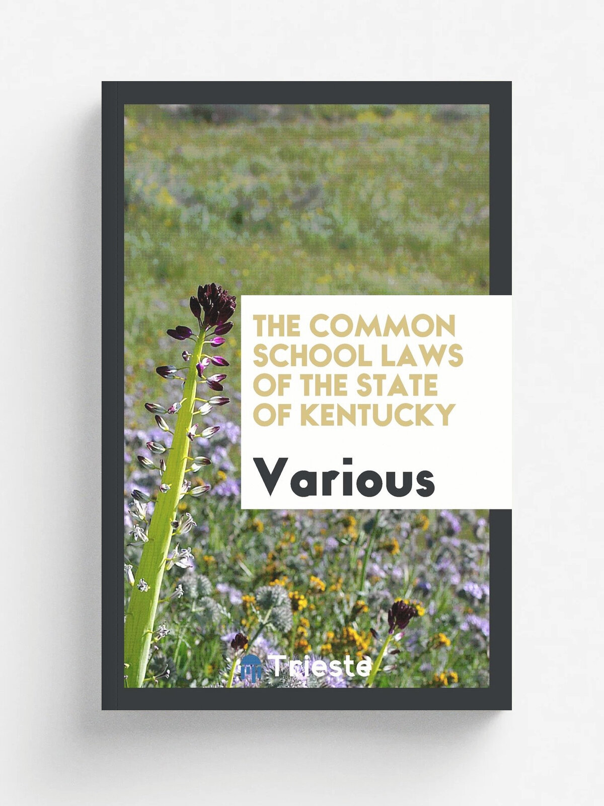 The common school laws of the state of Kentucky