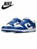 Krossovki dunk low