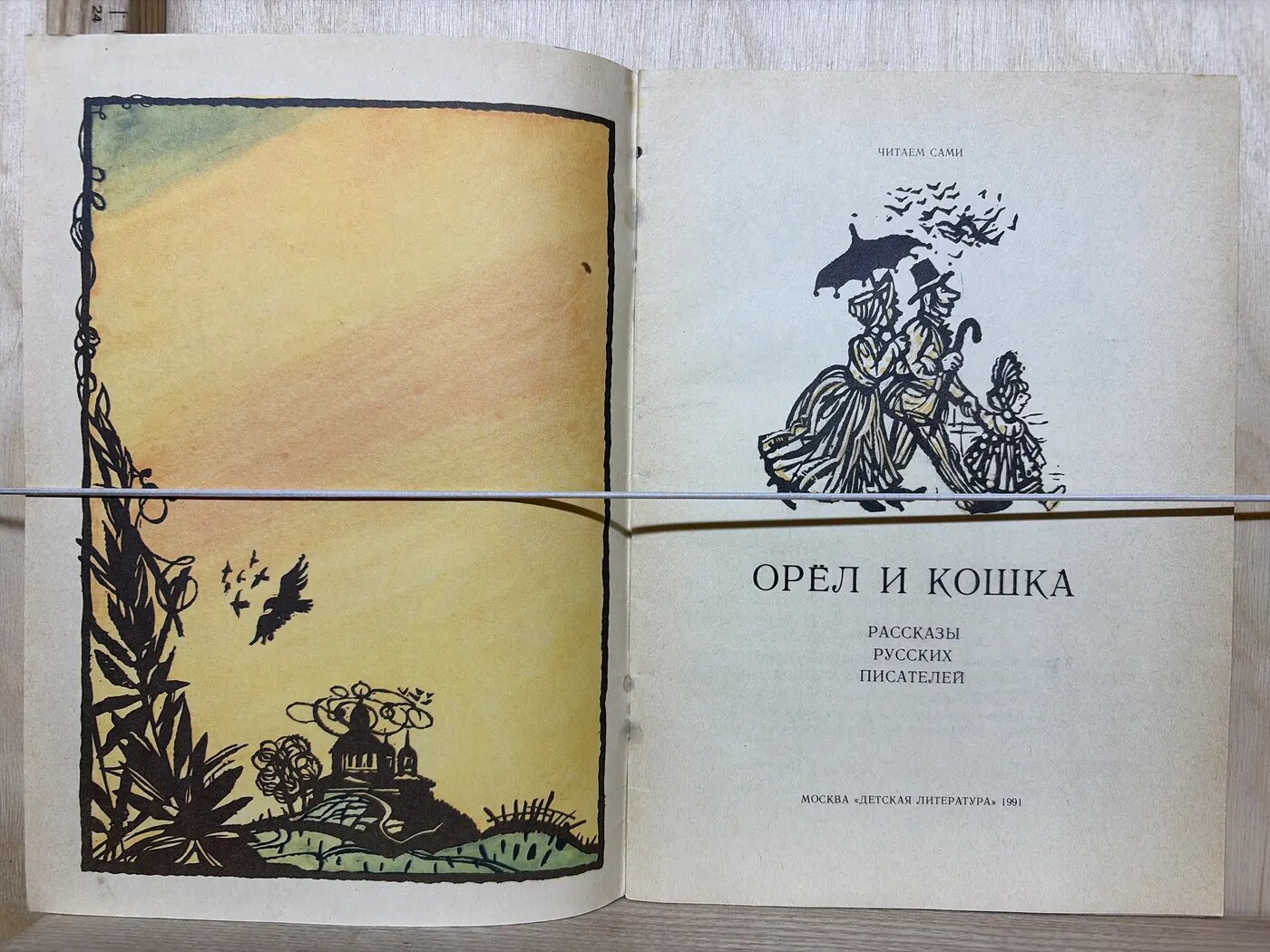 Орел и кошка — фото 1