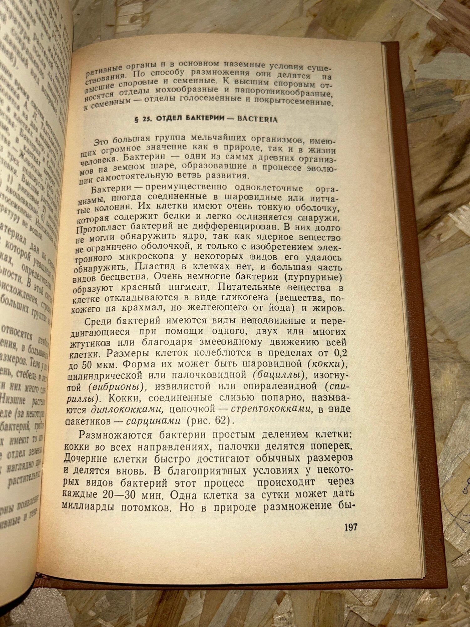 Ботаника. Учебник — фото 1
