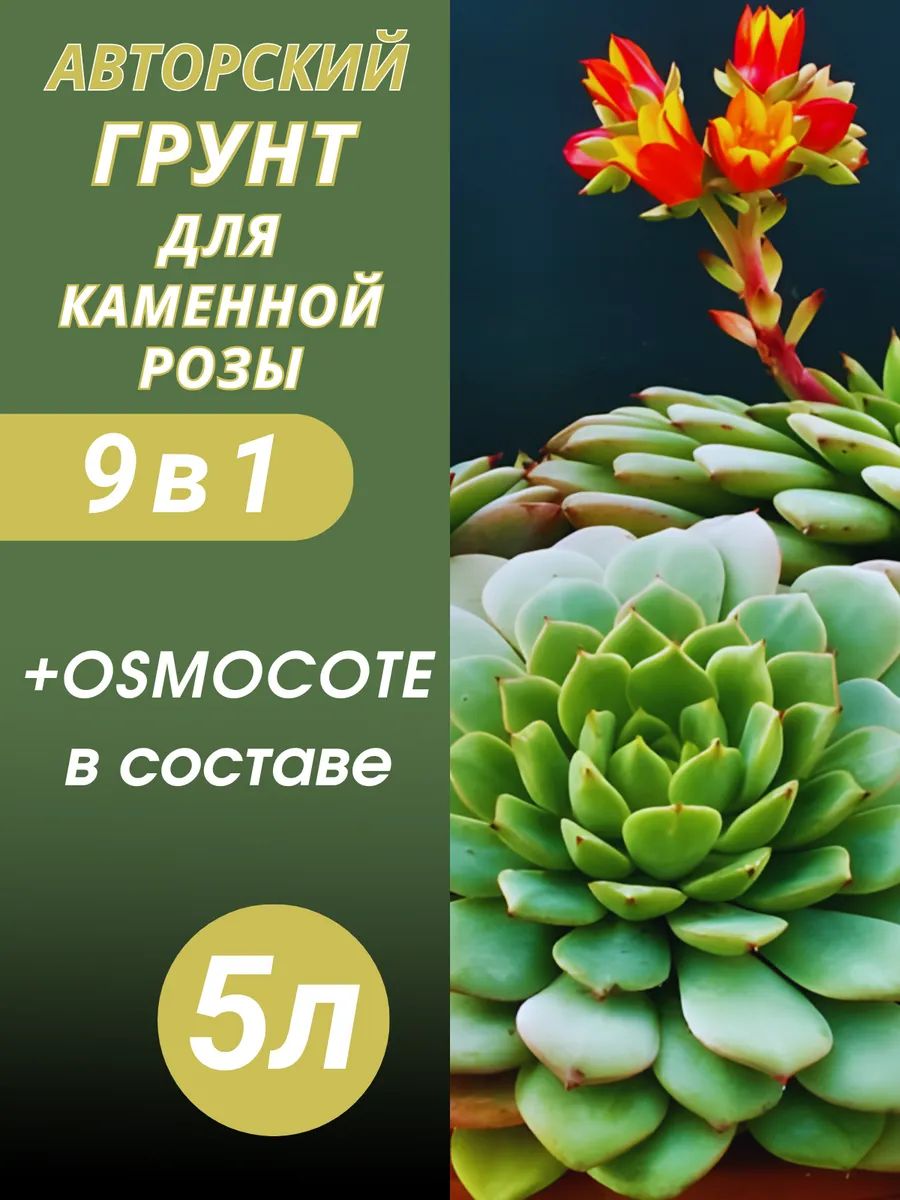 Грунт для Каменной розы 5л готовый