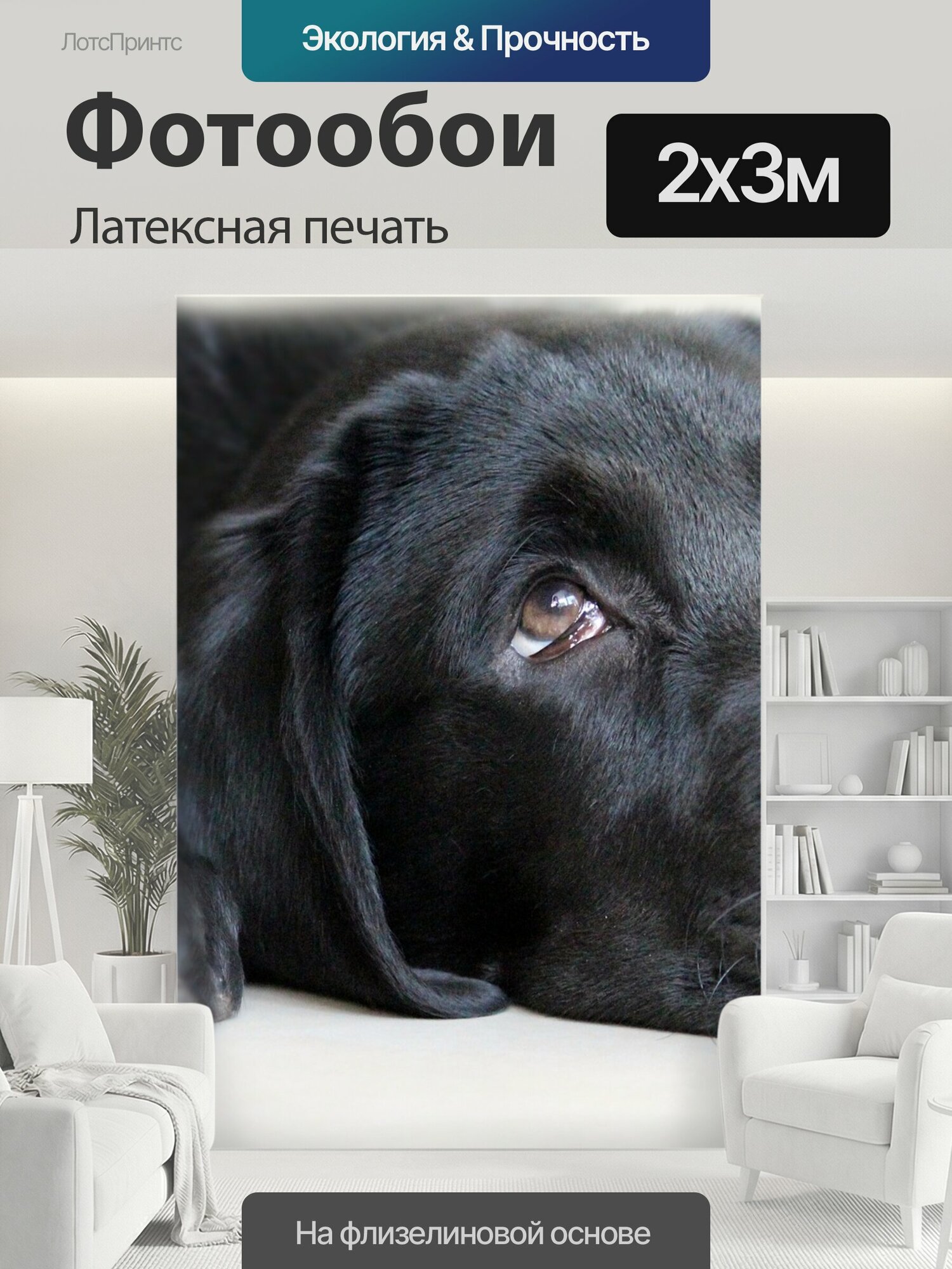 Фотообои моющиеся ударопрочные "Столкнувшись с чувством вины, собака, милый" 200x300 см. латексная печать
